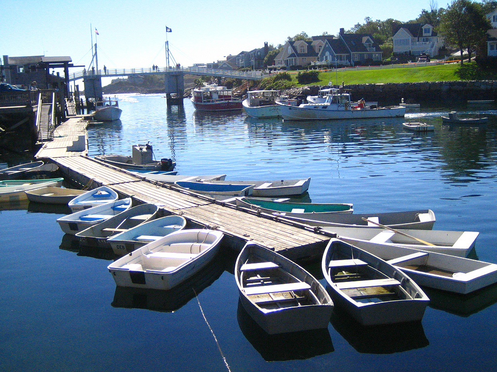 Thrill Ride to Perkins Cove | New England EcoAdventures
